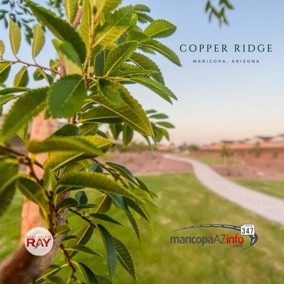 Copper Ridge Homes for Sale in Maricopa Arizona