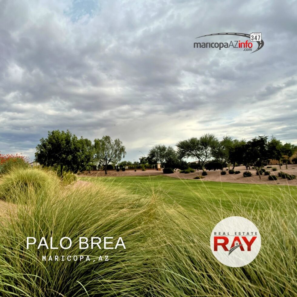 Palo Brea Homes for Sale in Maricopa Arizona